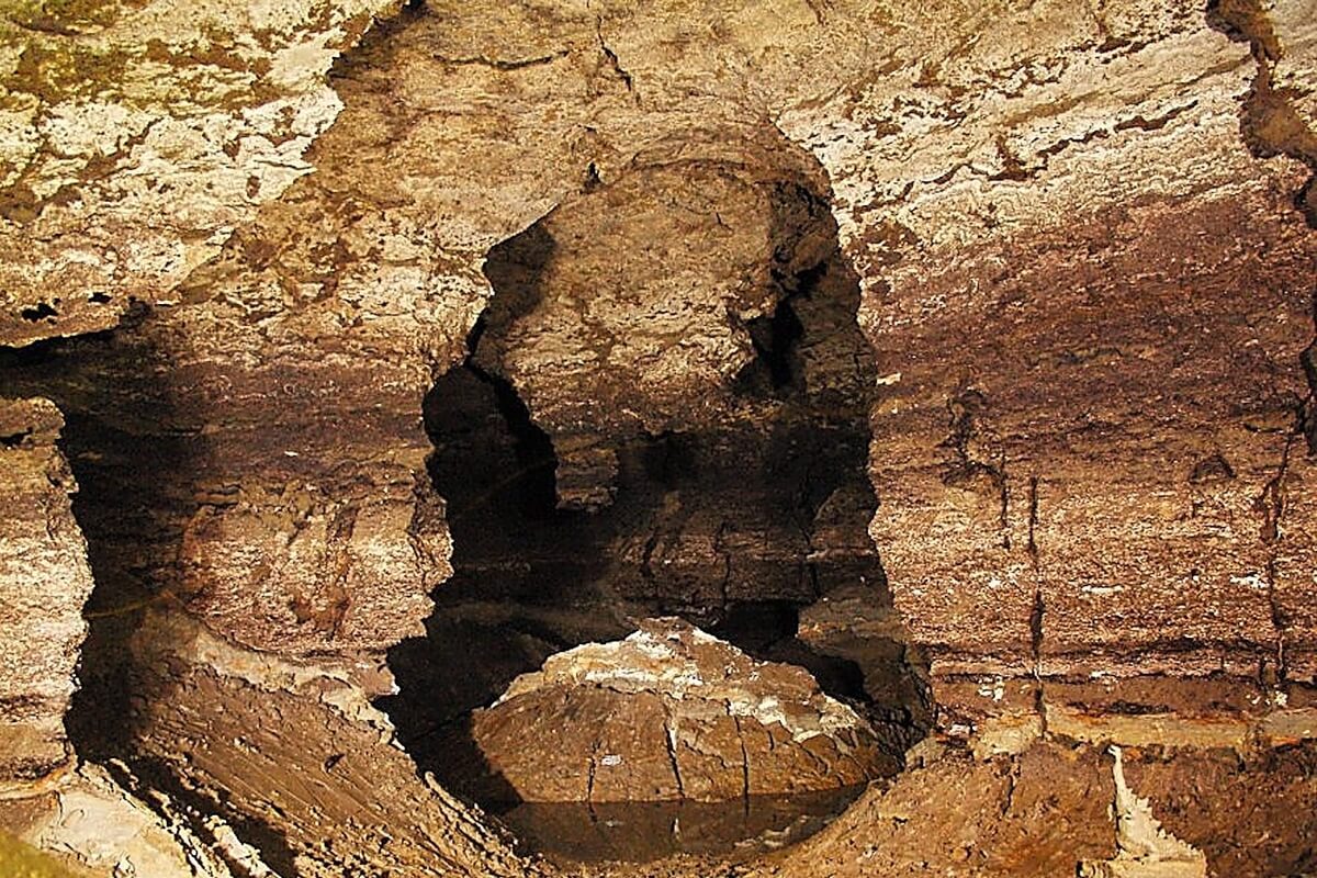 Monuments Naturels et Réserves en Moldavie – Guided Tours