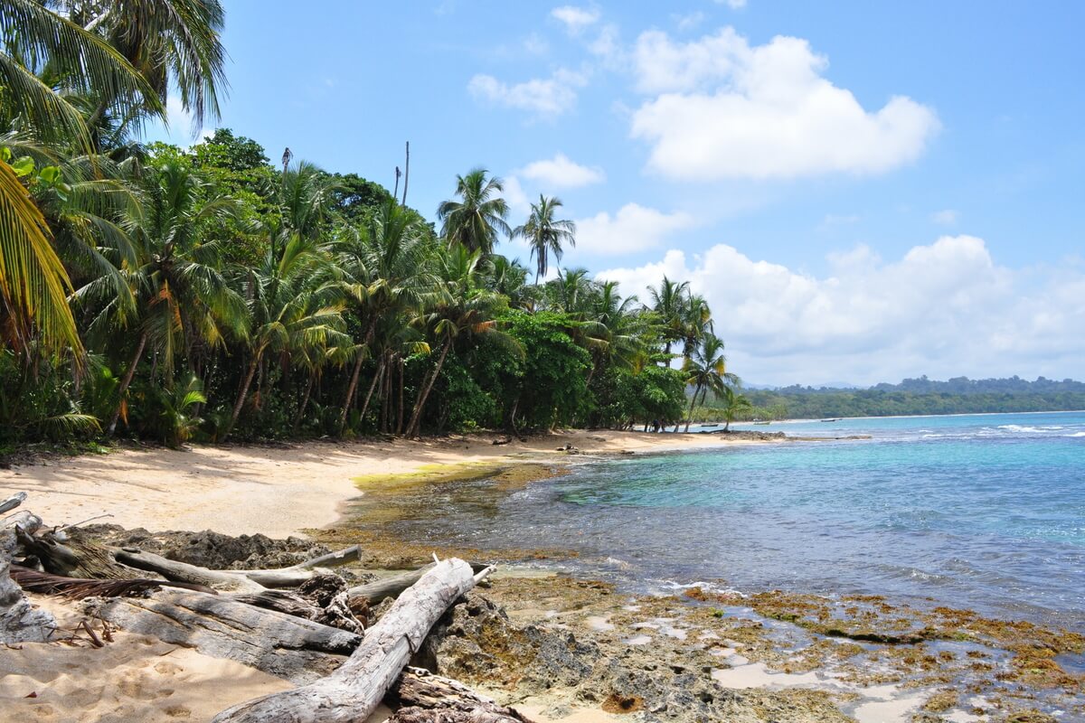 Costa Rica en 15 días: del Caribe (Puerto Viejo) al Pacífico (Playa...