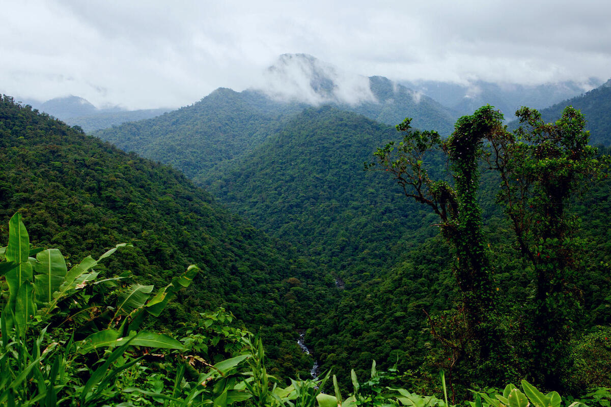 Costa Rica Itinerary (8 days): Braulio Carrillo Park, Poás Volcano...