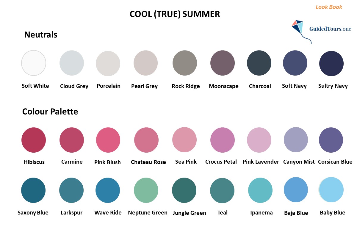 Paleta De Colores De Tonos De Piel Fríos