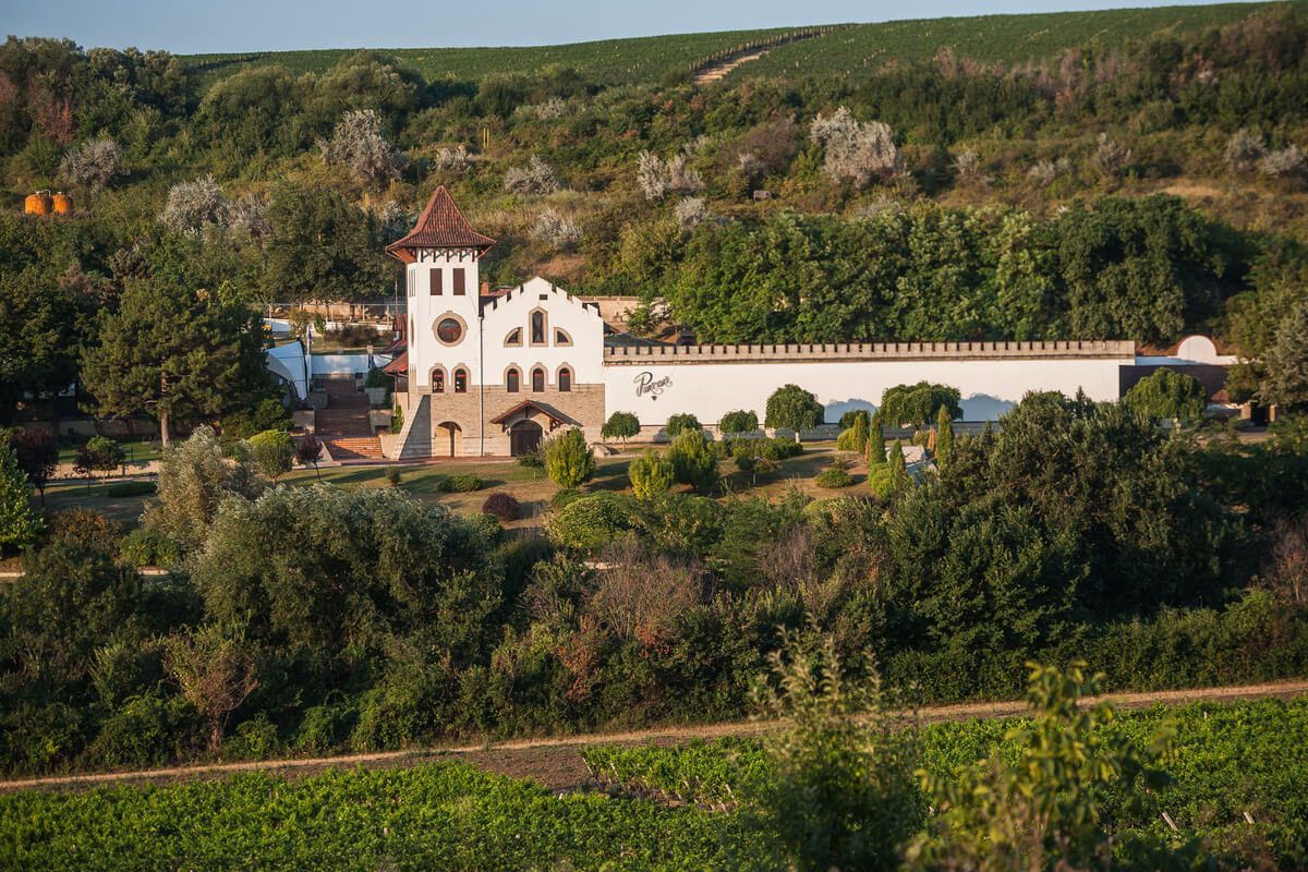 Moldova wineries tour: Asconi, Cricova, Château Purcari and Castel...